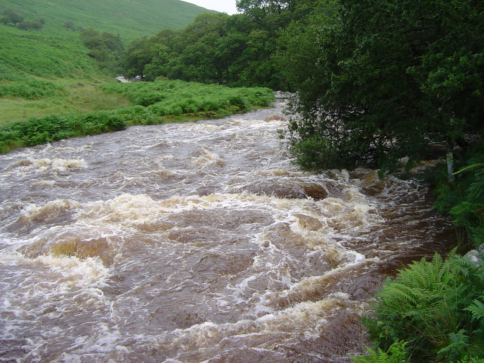 Camping – Piles Copse